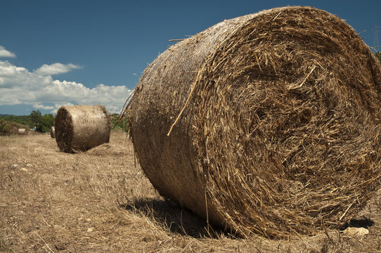 「Biada」の画像 - 96 件の Stock 写真、ベクターおよびビデオ | Adobe Stock