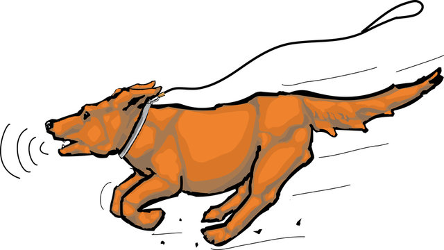 รูปภาพ"Bellender Hund" – เลือกดูภาพถ่ายสต็อก เวกเตอร์ และวิดีโอ28 ...