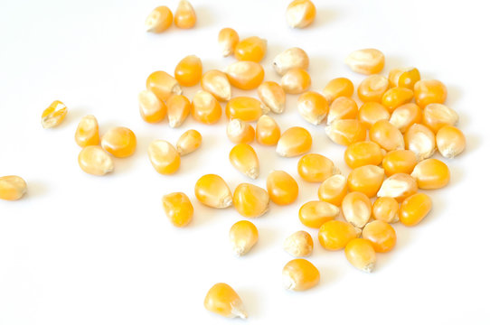 รูปภาพPuffmais – เลือกดูภาพถ่ายสต็อก เวกเตอร์ และวิดีโอ255 | Adobe Stock