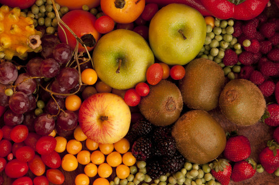 Imágenes de Alberja: descubre bancos de fotos, ilustraciones, vectores ...