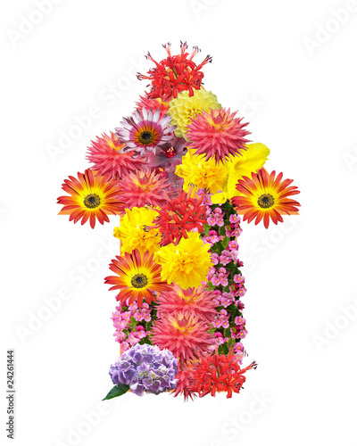 "flower arrow" Stock photo and royalty-free images on Fotolia.com - Pic ...