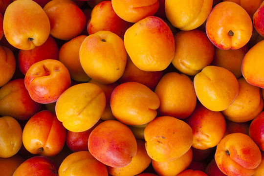 Marille Bilder – Durchsuchen 17,195 Archivfotos, Vektorgrafiken und ...