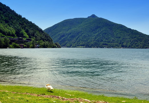 รูปภาพMelide – เลือกดูภาพถ่ายสต็อก เวกเตอร์ และวิดีโอ460 | Adobe Stock