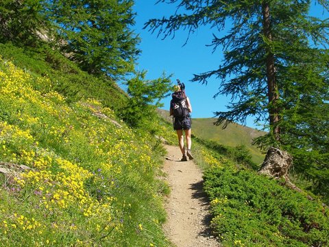 「Sentier」の写真素材 | 36,329件の無料イラスト画像 | Adobe Stock