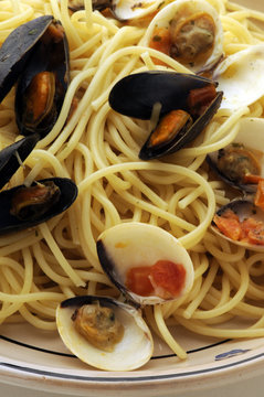 Imágenes de Pedoci: descubre bancos de fotos, ilustraciones, vectores y ...