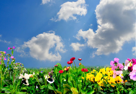 Natu Images – Browse 1,522 Stock Photos, Vectors, and Video | Adobe Stock