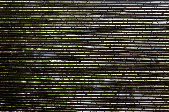 「Cadrillage」の写真素材 | 39件の無料イラスト画像 | Adobe Stock