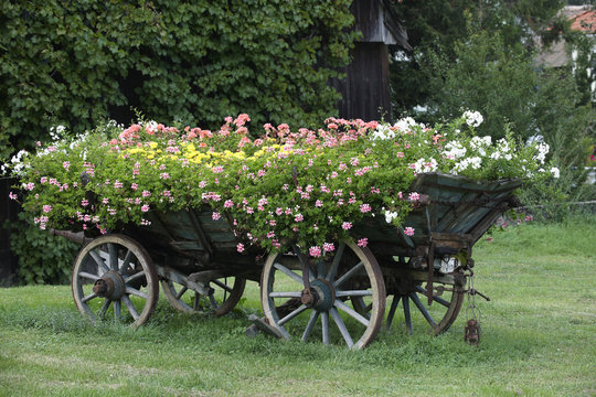 Waggen Bilder – Durchsuchen 32 Archivfotos, Vektorgrafiken und Videos ...