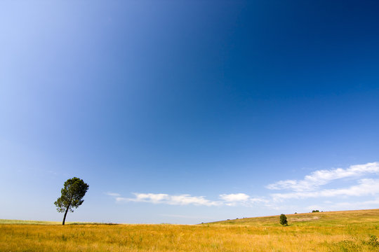รูปภาพLlanura – เลือกดูภาพถ่ายสต็อก เวกเตอร์ และวิดีโอ2,674 | Adobe Stock
