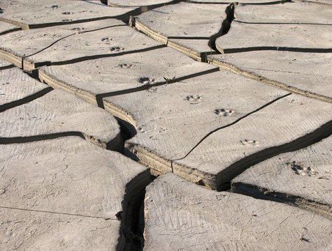 Souiller Bilder – Durchsuchen 562 Archivfotos, Vektorgrafiken und ...