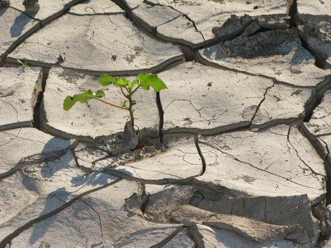 Souiller Bilder – Durchsuchen 562 Archivfotos, Vektorgrafiken und ...