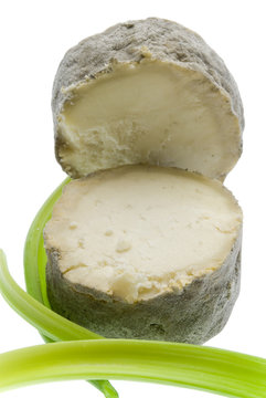 Morga Images – Browse 37 Stock Photos, Vectors, and Video | Adobe Stock