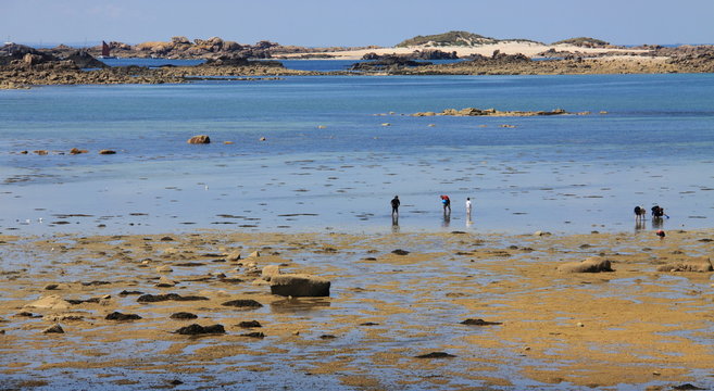 Basse-Bretagne Images – Browse 168 Stock Photos, Vectors, and Video ...