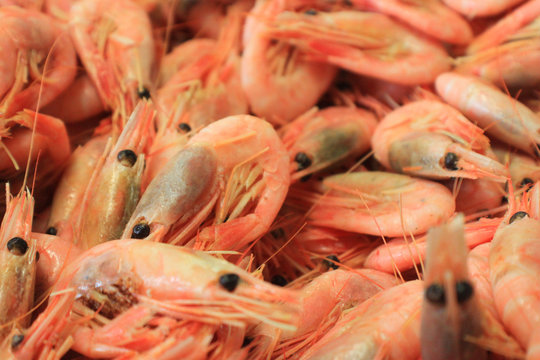 รูปภาพPulen – เลือกดูภาพถ่ายสต็อก เวกเตอร์ และวิดีโอ222 | Adobe Stock