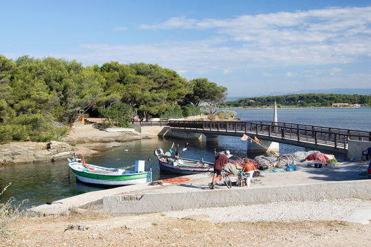 「Gaou」の写真素材 | 313件の無料イラスト画像 | Adobe Stock