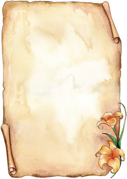 รูปภาพRotulus – เลือกดูภาพถ่ายสต็อก เวกเตอร์ และวิดีโอ1,683 | Adobe Stock