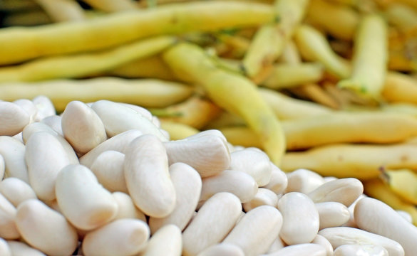 Fayot 이미지 – 찾아보기 122 스톡 사진, 벡터 및 비디오 | Adobe Stock
