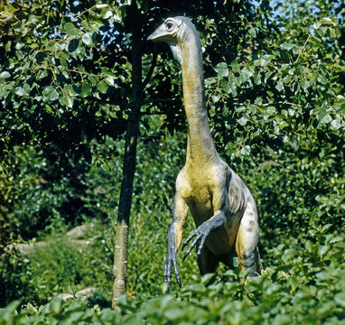 Saurier bilder – Bläddra bland 2,366 stockfoton, vektorer och videor ...