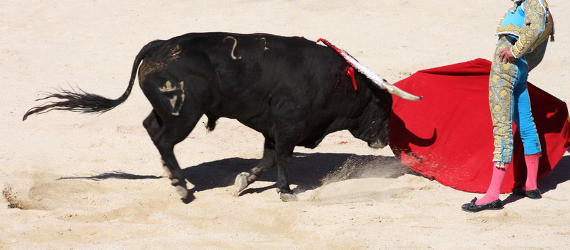 Toromachie - Images et vidéos libres de droits | Adobe Stock