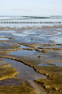 รูปภาพMudflat – เลือกดูภาพถ่ายสต็อก เวกเตอร์ และวิดีโอ61,435 | Adobe Stock