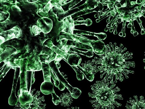 N5H1 Images – Browse 7 Stock Photos, Vectors, and Video | Adobe Stock