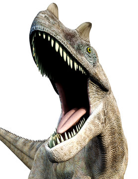 รูปภาพTetanuran – เลือกดูภาพถ่ายสต็อก เวกเตอร์ และวิดีโอ86 | Adobe Stock