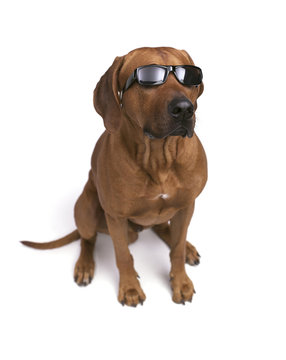 Richback Images – Browse 33 Stock Photos, Vectors, and Video | Adobe Stock