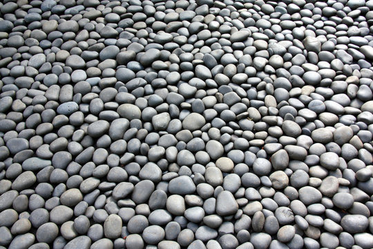 รูปภาพPebble – เลือกดูภาพถ่ายสต็อก เวกเตอร์ และวิดีโอ655,990 | Adobe Stock