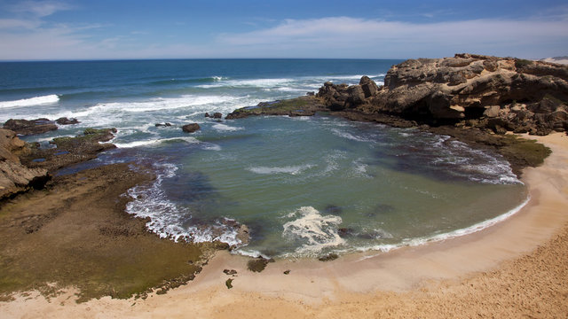 รูปภาพShelly – เลือกดูภาพถ่ายสต็อก เวกเตอร์ และวิดีโอ1,687 | Adobe Stock