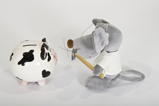 Ocico Images – Browse 79 Stock Photos, Vectors, and Video | Adobe Stock