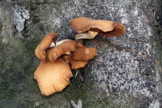 Imágenes de Animado Sed: descubre bancos de fotos, ilustraciones ...