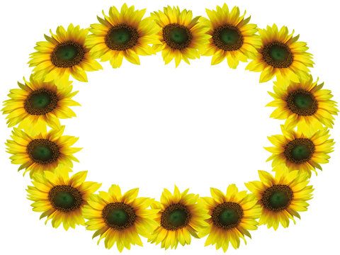 Sunflower Circle Border Images – Browse 1,102 Stock Photos, Vectors ...
