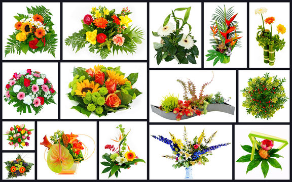 Florales Images – Browse 4,645 Stock Photos, Vectors, and Video | Adobe ...