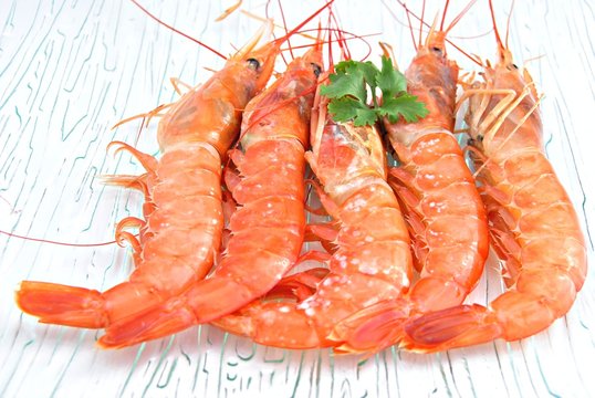 รูปภาพGambas – เลือกดูภาพถ่ายสต็อก เวกเตอร์ และวิดีโอ7,871 | Adobe Stock