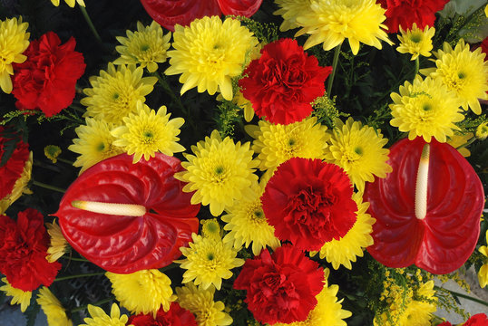 รูปภาพAnturio – เลือกดูภาพถ่ายสต็อก เวกเตอร์ และวิดีโอ203 | Adobe Stock