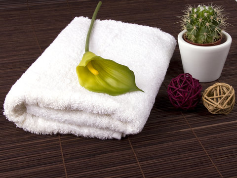 Ayur Images – Browse 36 Stock Photos, Vectors, and Video | Adobe Stock