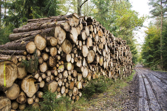 Rohmaterial bilder – Bläddra bland 888 stockfoton, vektorer och videor ...