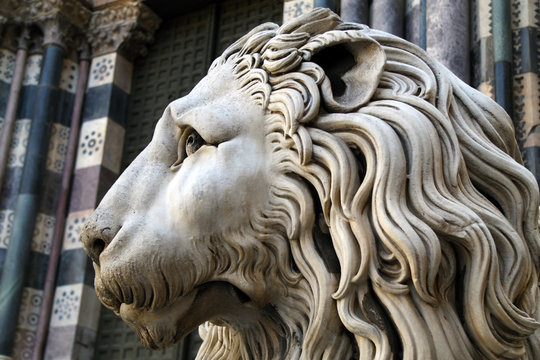 รูปภาพLorenzo – เลือกดูภาพถ่ายสต็อก เวกเตอร์ และวิดีโอ12,795 | Adobe Stock