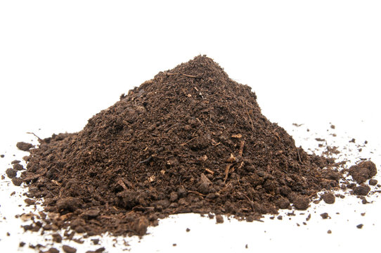 รูปภาพ"Humus – เลือกดูภาพถ่ายสต็อก เวกเตอร์ และวิดีโอ42,902 | Adobe Stock