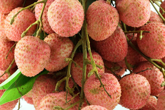 「Letchis」の写真素材 | 502件の無料イラスト画像 | Adobe Stock