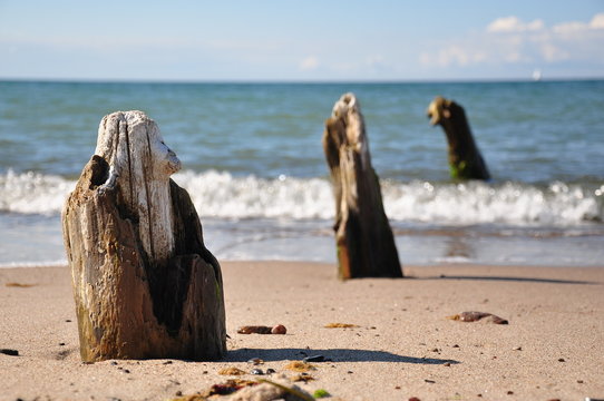 「Buhlen」の写真素材 | 115件の無料イラスト画像 | Adobe Stock