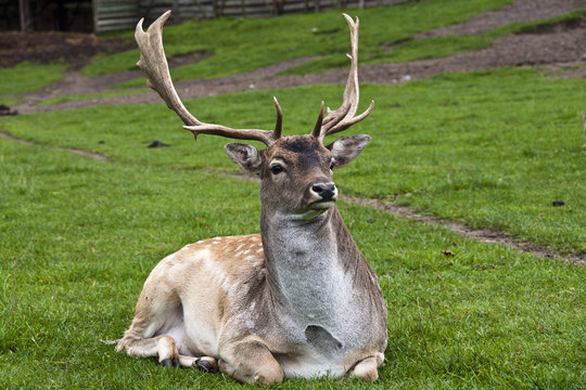 Daniel Bilder – Durchsuchen 5,558 Archivfotos, Vektorgrafiken und ...