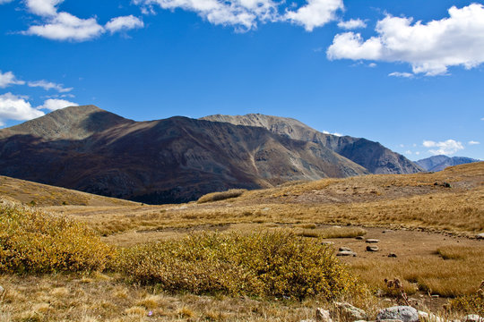 Stalde Bilder – Durchsuchen 154 Archivfotos, Vektorgrafiken und Videos ...