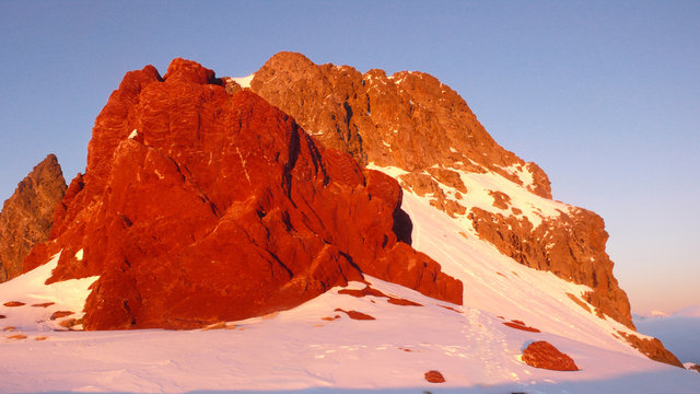 「Flamboyer」の写真素材 | 14件の無料イラスト画像 | Adobe Stock