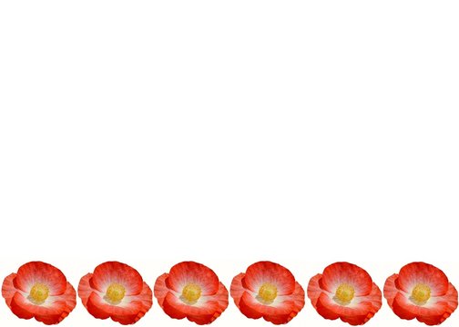 รูปภาพPlanze – เลือกดูภาพถ่ายสต็อก เวกเตอร์ และวิดีโอ1,579 | Adobe Stock