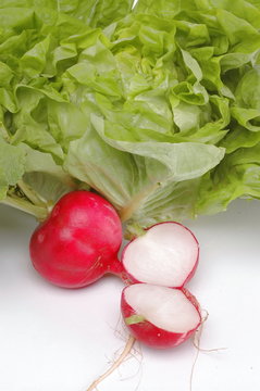 Ravanello Images – Browse 826 Stock Photos, Vectors, and Video | Adobe ...