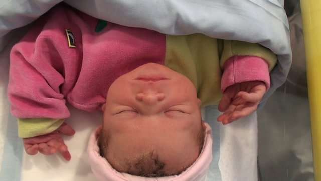 Nourisson Images – Browse 459 Stock Photos, Vectors, and Video | Adobe ...