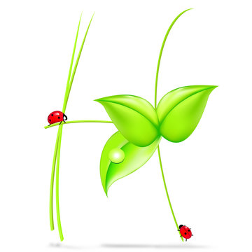 Grash Images – Browse 43 Stock Photos, Vectors, and Video | Adobe Stock