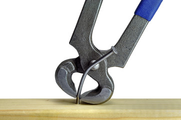 Bilder und Videos suchen: beißzange