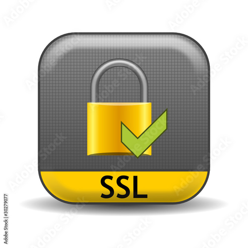 "SSL Icon" Stock image and royalty-free vector files on Fotolia.com ...